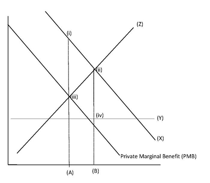 Solved (Z) (0) ii) iii) (iv) (Y) (X) Private Marginal | Chegg.com