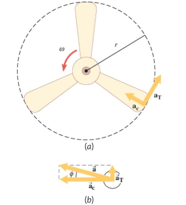 Solved The blades of a ceiling fan have a radius of 0.382 m | Chegg.com
