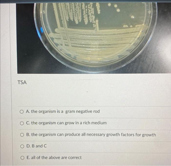 Solved An unknown organism was inoculated to this TSA plate | Chegg.com