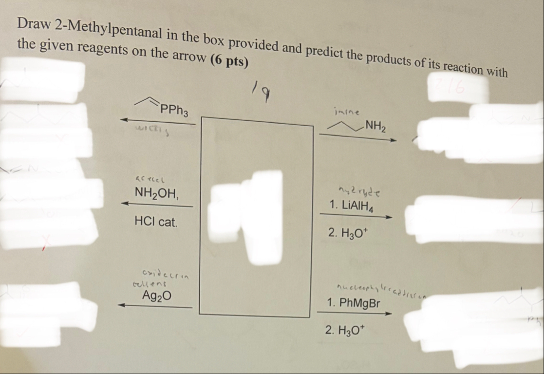 Solved Draw 2-Methylpentanal in the box provided and predict | Chegg.com