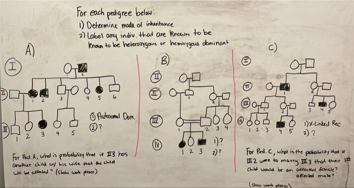 Solved For each pedigree below: 1) Determine mode of | Chegg.com