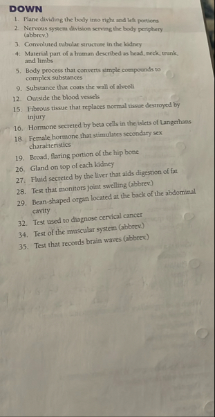 Solved DOWNPlane dividing the body into right and lelt | Chegg.com