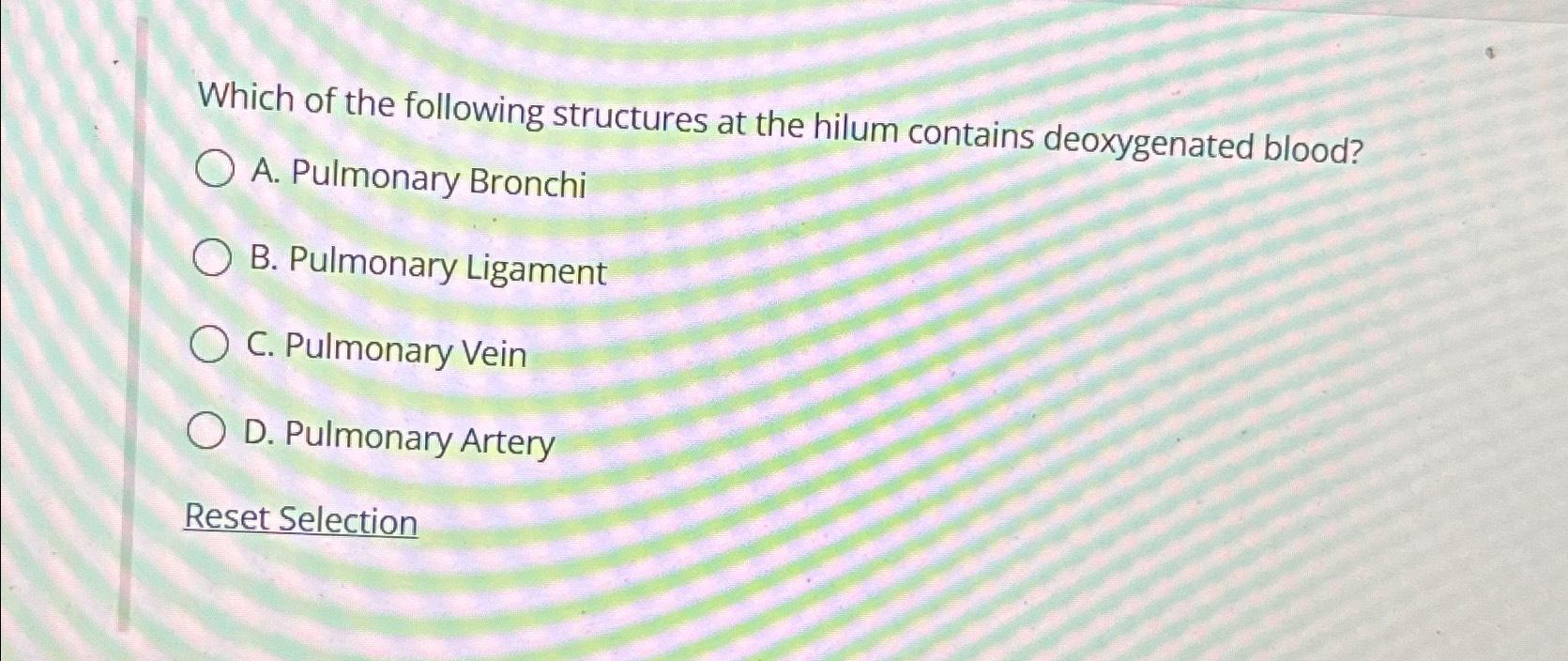 Solved Which of the following structures at the hilum | Chegg.com