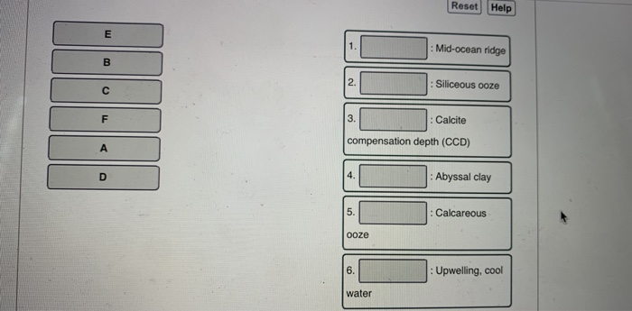 4 Types Of Ocean Floor Sediments | Viewfloor.co