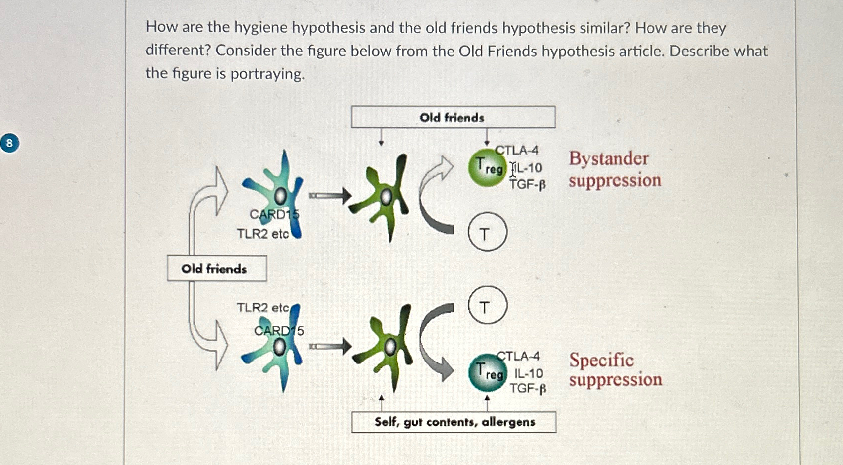 Solved How are the hygiene hypothesis and the old friends | Chegg.com
