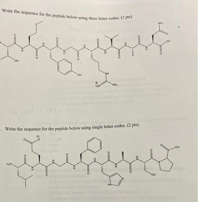 Solved Write the sequence for the peptide below using three | Chegg.com