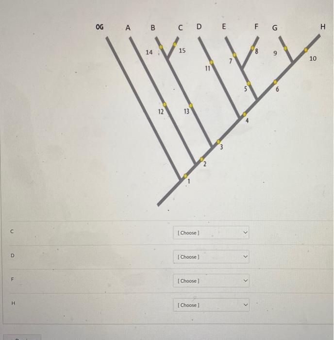 Solved The following is a character matrix for the various | Chegg.com