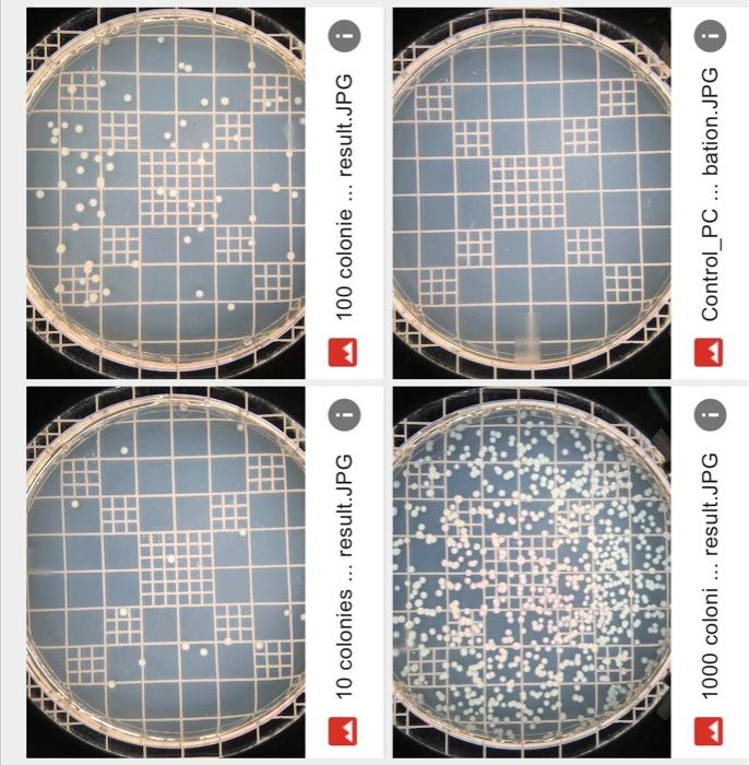 Solved 1. in the photo above | Chegg.com