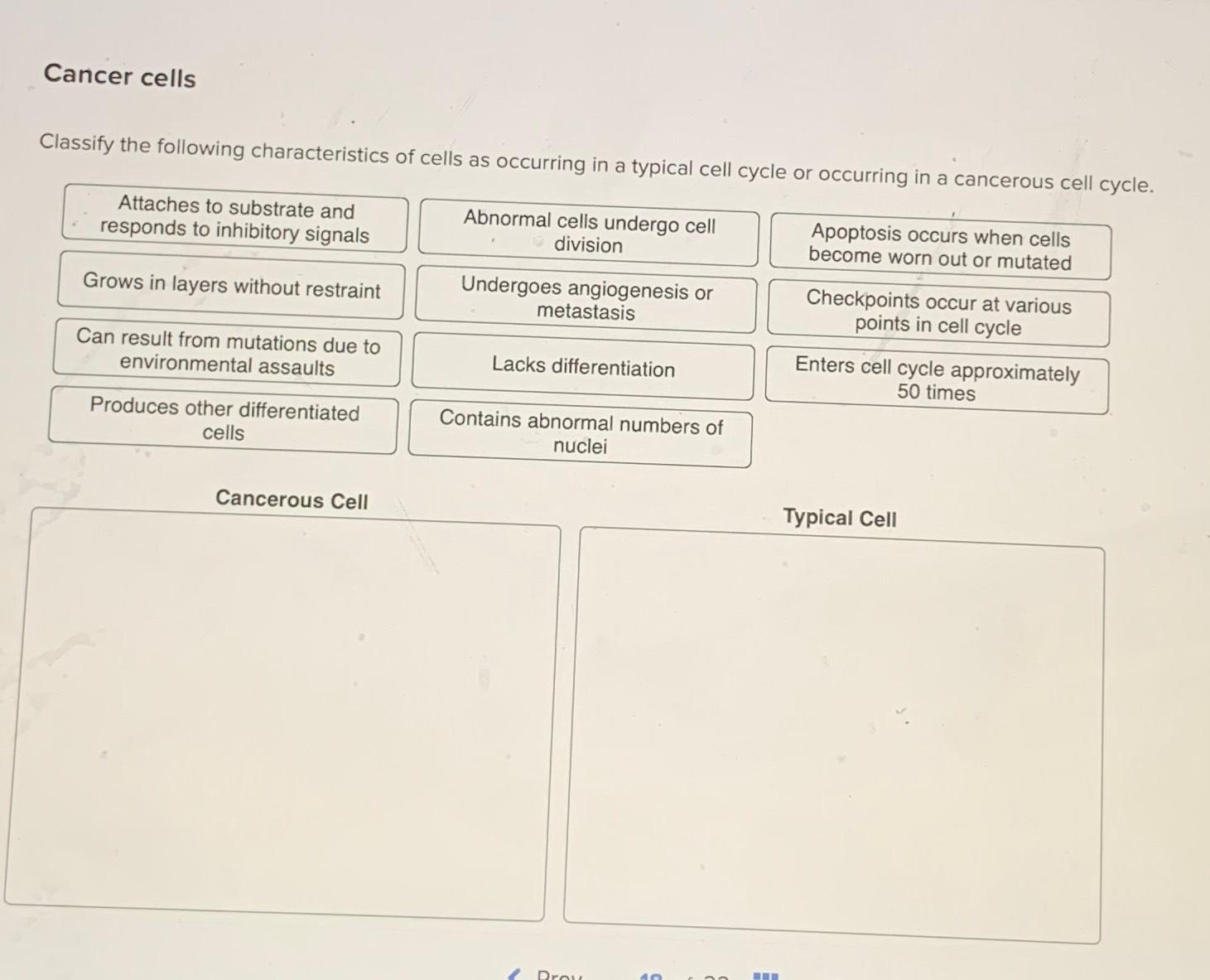 Solved Cancer cellsClassify the following characteristics of | Chegg.com
