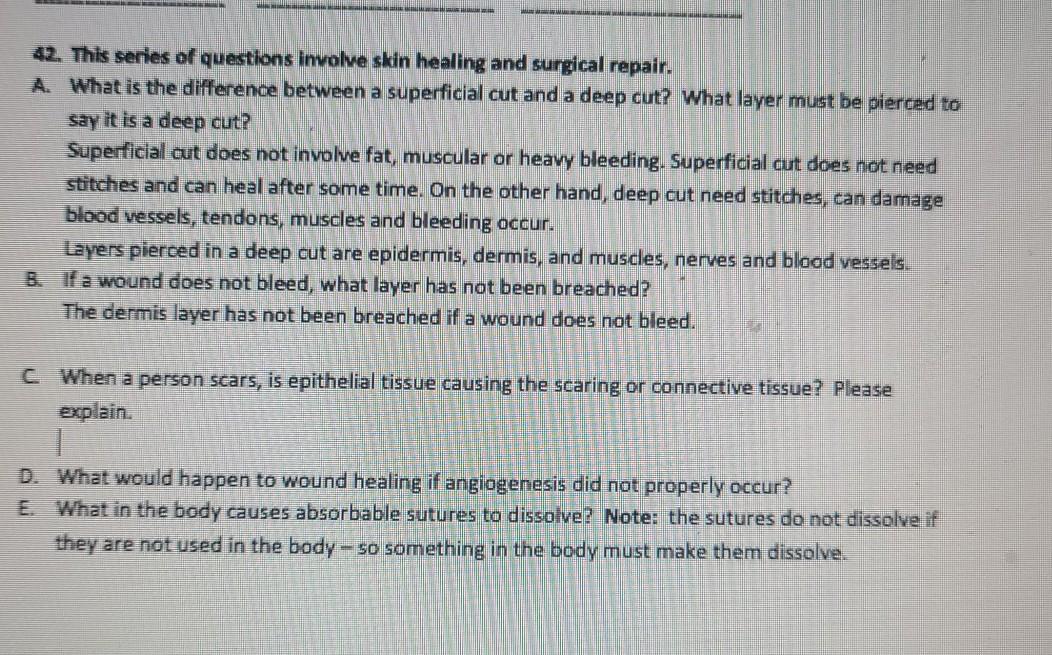 Solved . 42. This series of questions involve skin healing | Chegg.com