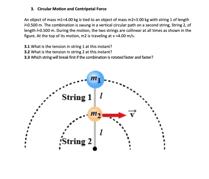 Solved 3. Circular Motion and Centripetal Force An object of | Chegg.com Solved 3. Circular Motion and Centripetal Force An object of | Chegg.com