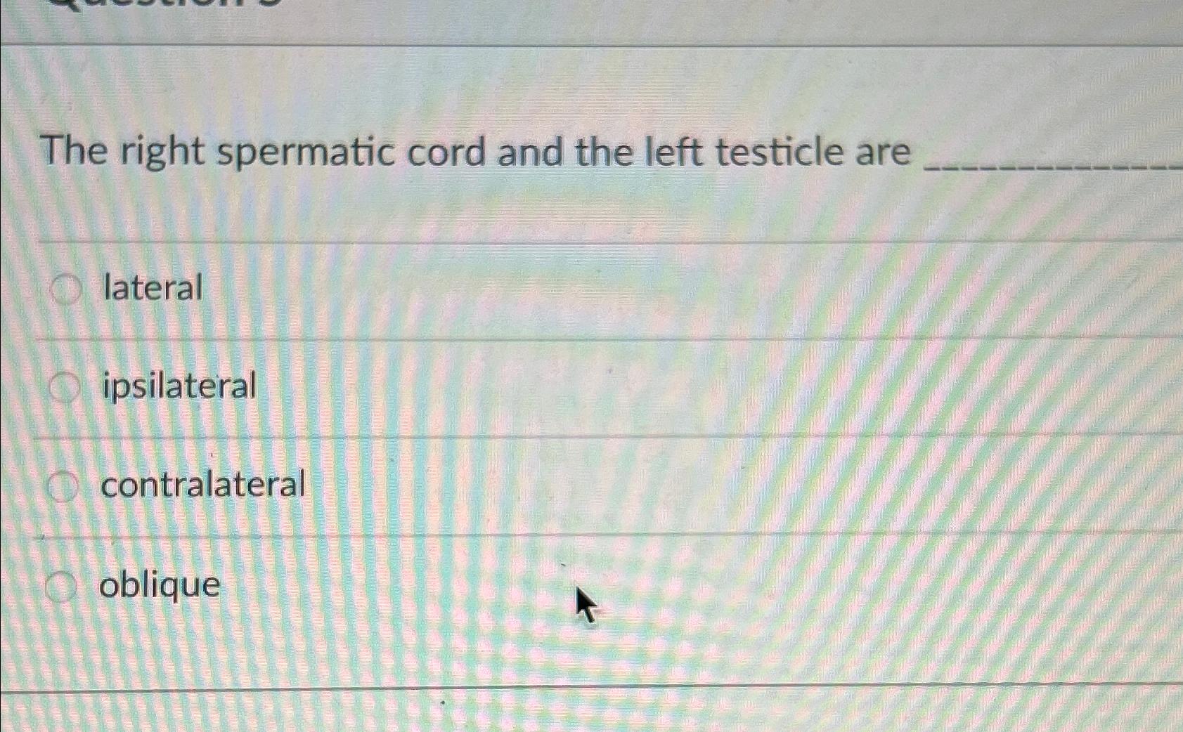 Solved The right spermatic cord and the left testicle | Chegg.com