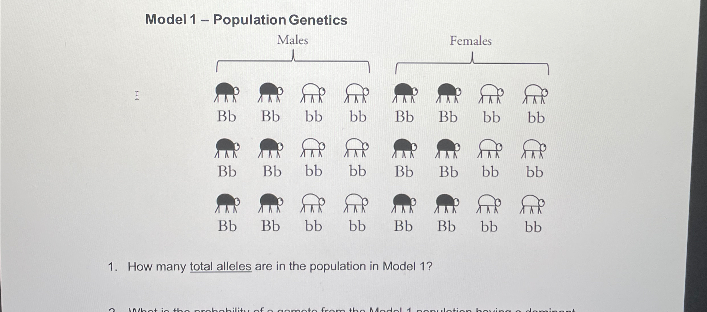 Solved Model 1 - ﻿Population GeneticsHow many total alleles | Chegg.com