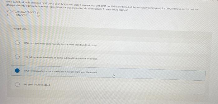 Solved If the partially double stranded DNA piece See below | Chegg.com