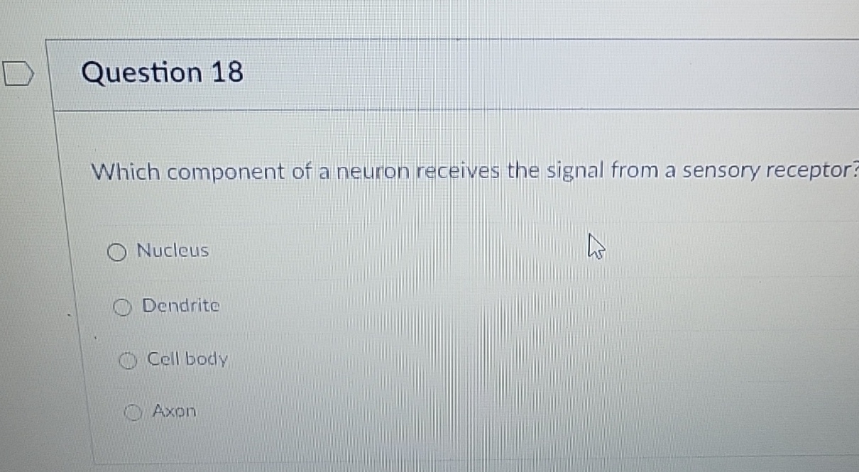 Solved Question 18Which component of a neuron receives the | Chegg.com