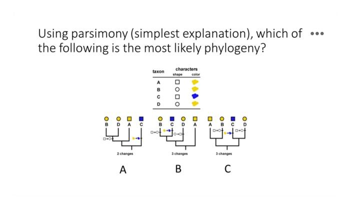 Solved Using parsimony (simplest explanation), which of ⋯ | Chegg.com