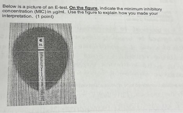 Solved Below is a picture of an E-test. On the figure, | Chegg.com