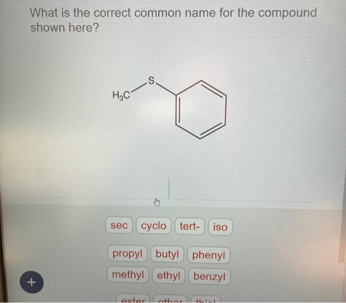Solved What is the correct common name for the compound | Chegg.com