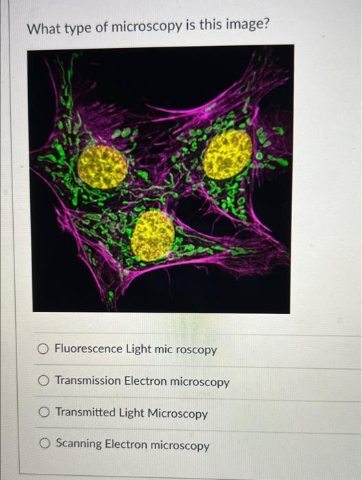 [Solved]: What type of microscopy is this image? Fluorescen