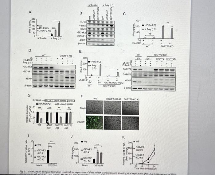 Solved Fig. 3. GIGVF2/AEHP complex formation is critical for | Chegg.com