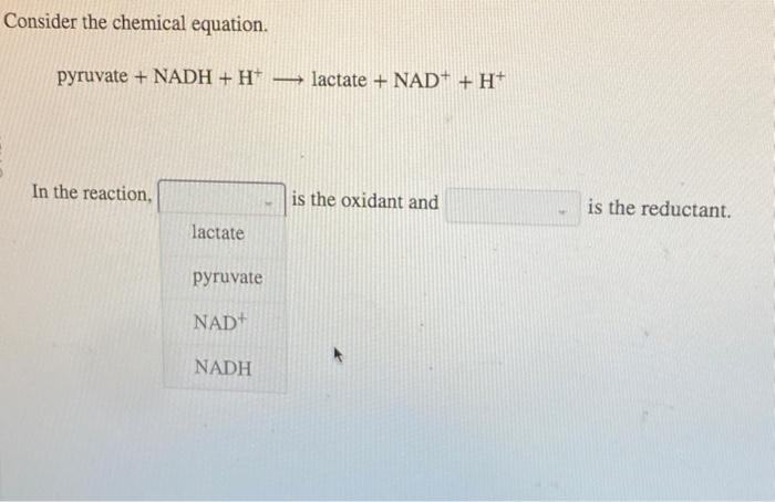 Consider the chemical equation. pyruvate + NADH+H* | Chegg.com