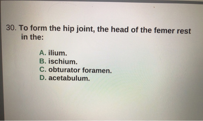 Solved 25. What is the basic structural unit of bone? A. | Chegg.com