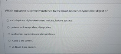 Solved Which substrate is correctly matched to the brush | Chegg.com