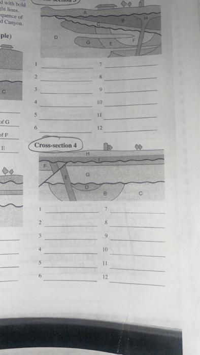 Questions #1-8 on cross section 2 Questions #1-12 on | Chegg.com