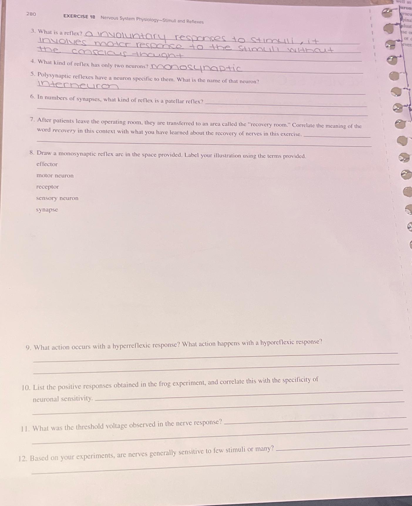 Solved 280EXERCISE 18 ﻿Nervous System Physiology-Stimuli and | Chegg.com