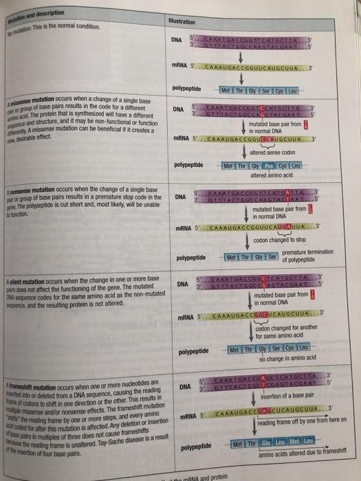 Solved 6. Read pg. 341 of your textbook on mutations. Choose | Chegg.com
