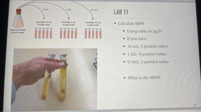 Solved Calculate MPN Using table on pg 91 If you have: 10 | Chegg.com