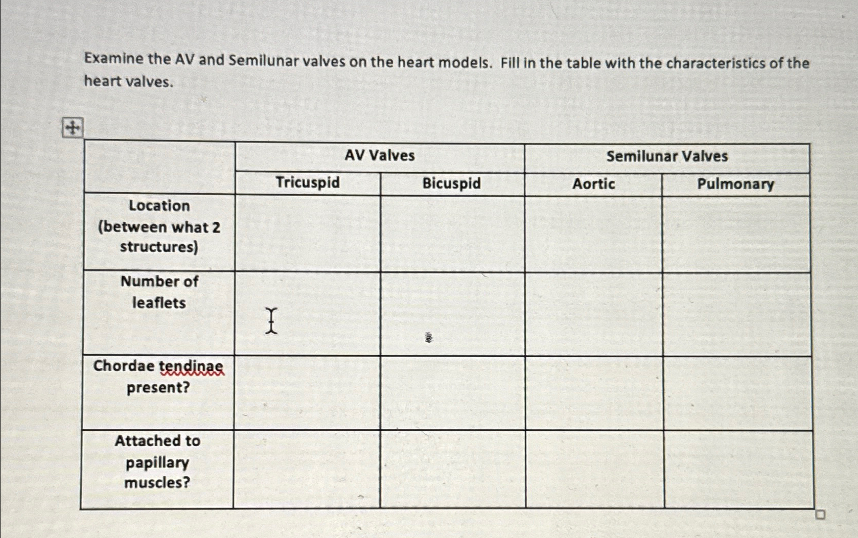Solved Examine the AV and Semilunar valves on the heart | Chegg.com