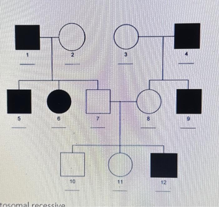 Solved based on pedigree provided in the active learning | Chegg.com