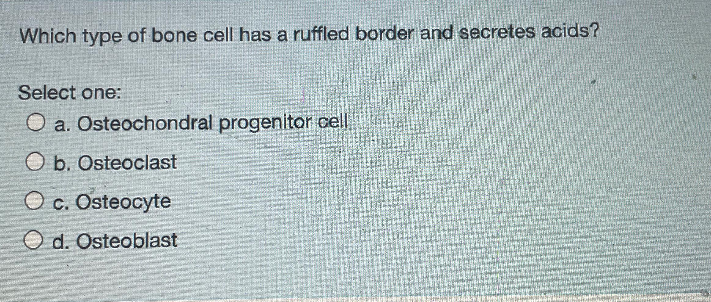 Solved Which type of bone cell has a ruffled border and | Chegg.com
