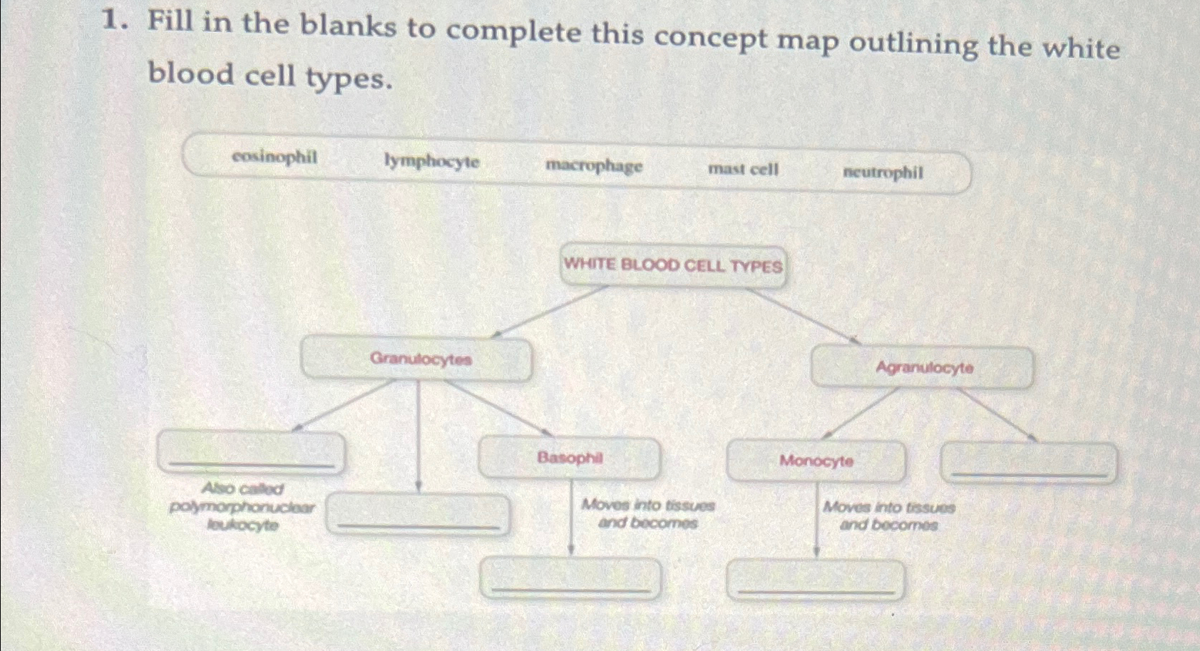 Solved Fill in the blanks to complete this concept map | Chegg.com