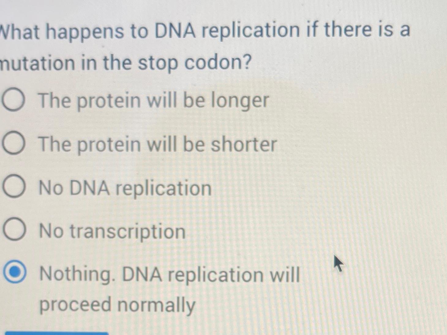 Solved What happens to DNA replication if there is a | Chegg.com