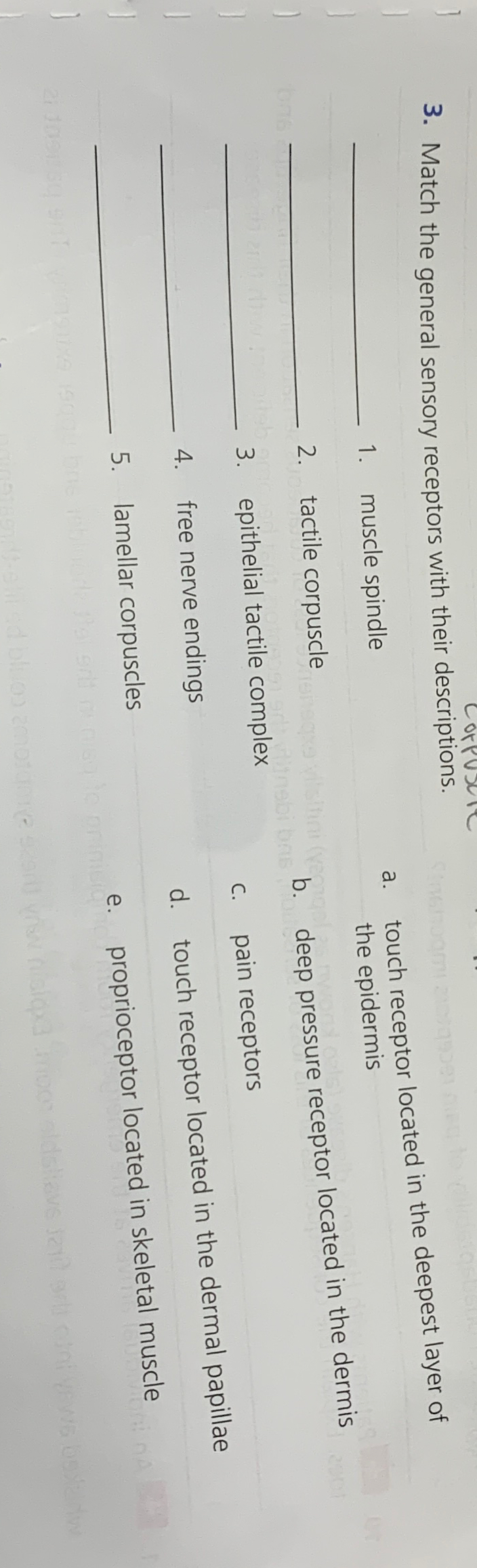 Solved Match the general sensory receptors with their | Chegg.com