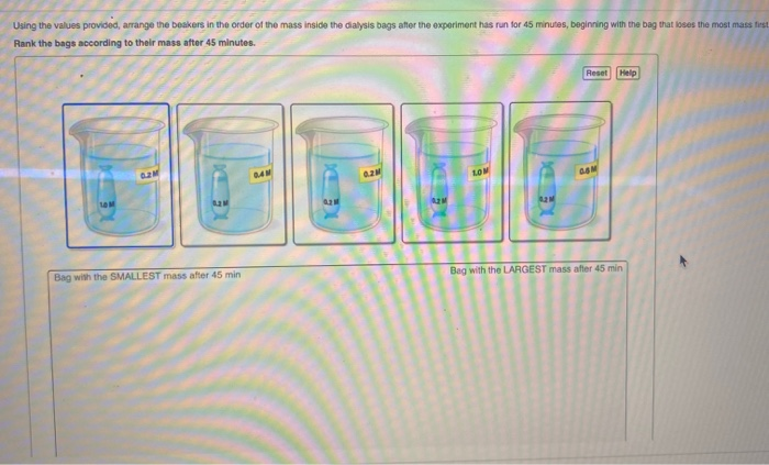 Solved Using the values provided, arrange the beakers in the | Chegg.com