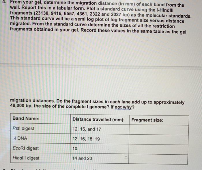 4. From your gel, determine the migration distance | Chegg.com
