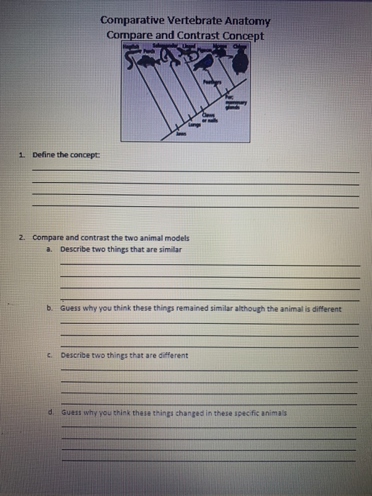 Solved Comparative Vertebrate Anatomy Compare and Contrast | Chegg.com
