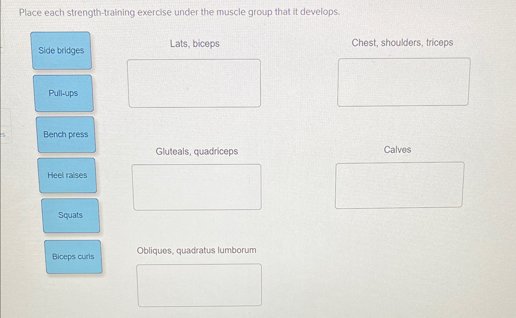 Place each strength-training exercise under the | Chegg.com