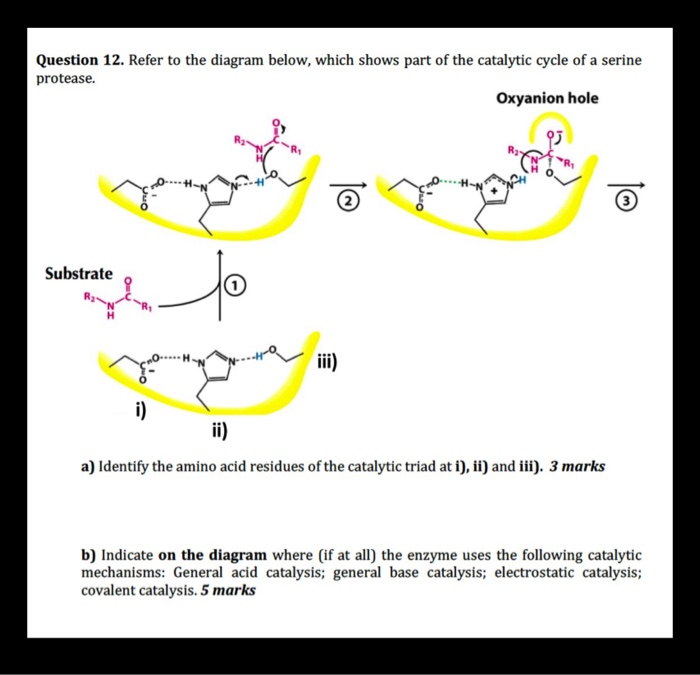 Solved Question 12. Refer to the diagram below, which shows | Chegg.com