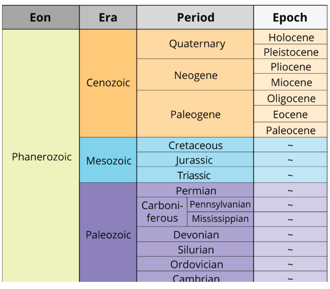 Solved Eon Era Period Epoch Phanerozoic Cenozoic Quaternary | Chegg.com