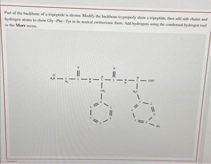 Solved Part of the backbone of a tripeptide is shown. Modify | Chegg.com