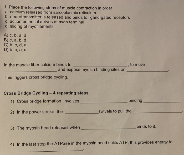 Solved 1. Place the following steps of muscle contraction in | Chegg.com