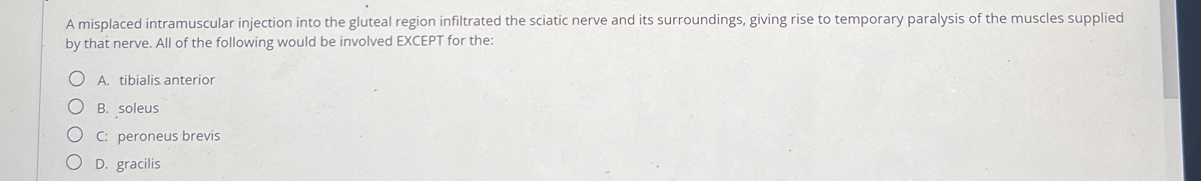 Solved A misplaced intramuscular injection into the gluteal | Chegg.com