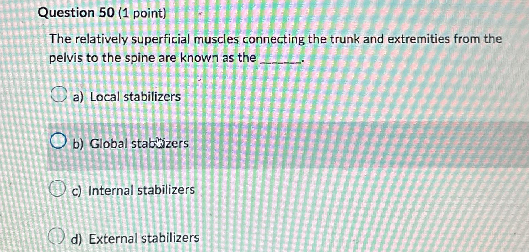 Solved Question 50 (1 ﻿point)The relatively superficial | Chegg.com