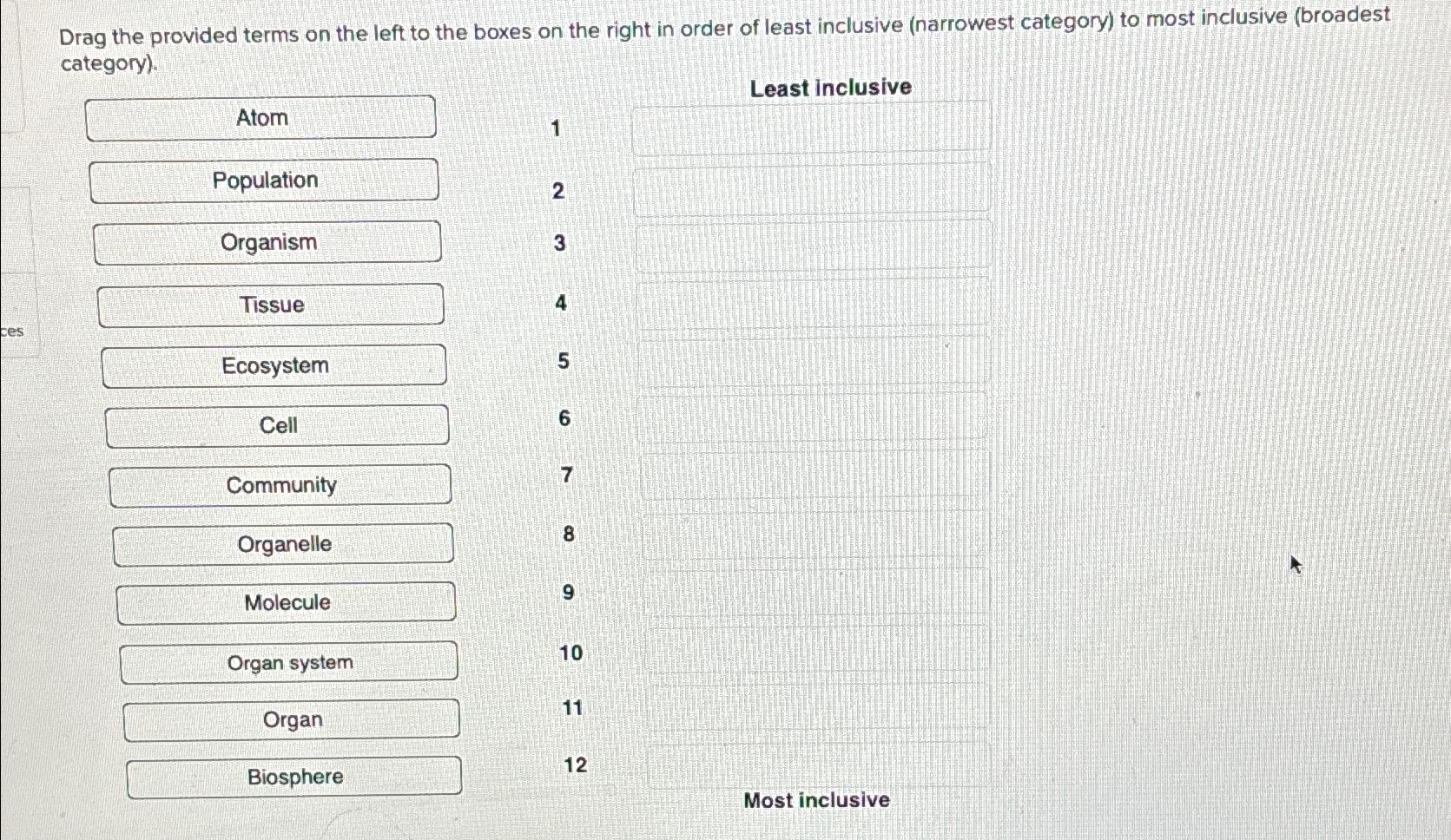 Solved Drag the provided terms on the left to the boxes on | Chegg.com