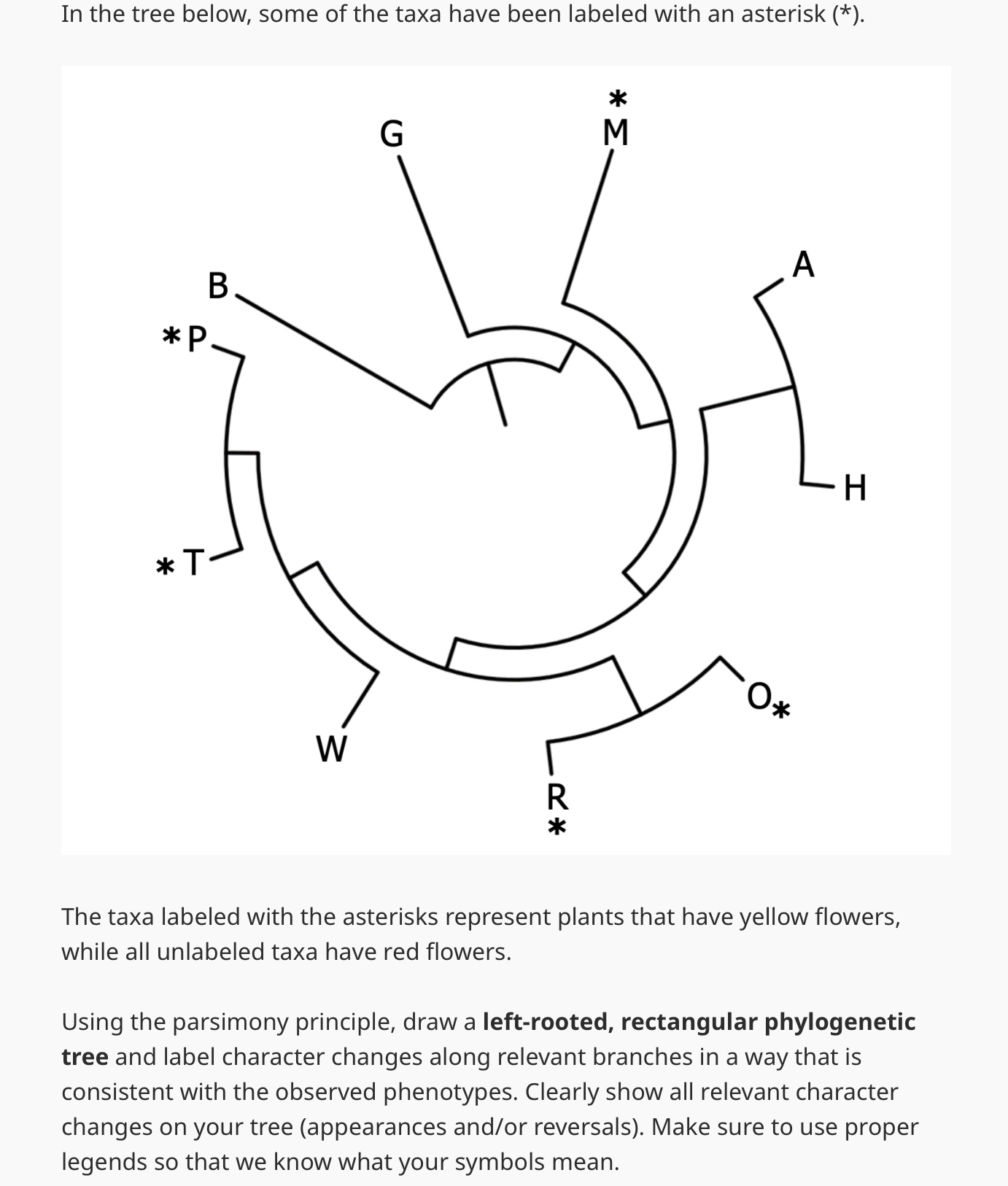 Solved The taxa labeled with the asterisks represent plants | Chegg.com