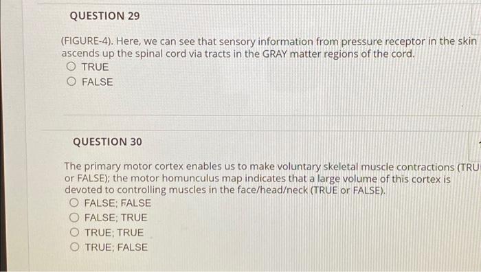 Solved In a spinal cord monosynaptic stretch reflex arc, the | Chegg.com